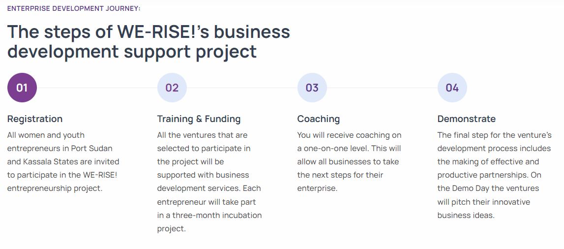 Apply for theWE-RISE! Initiative – Sudan Career